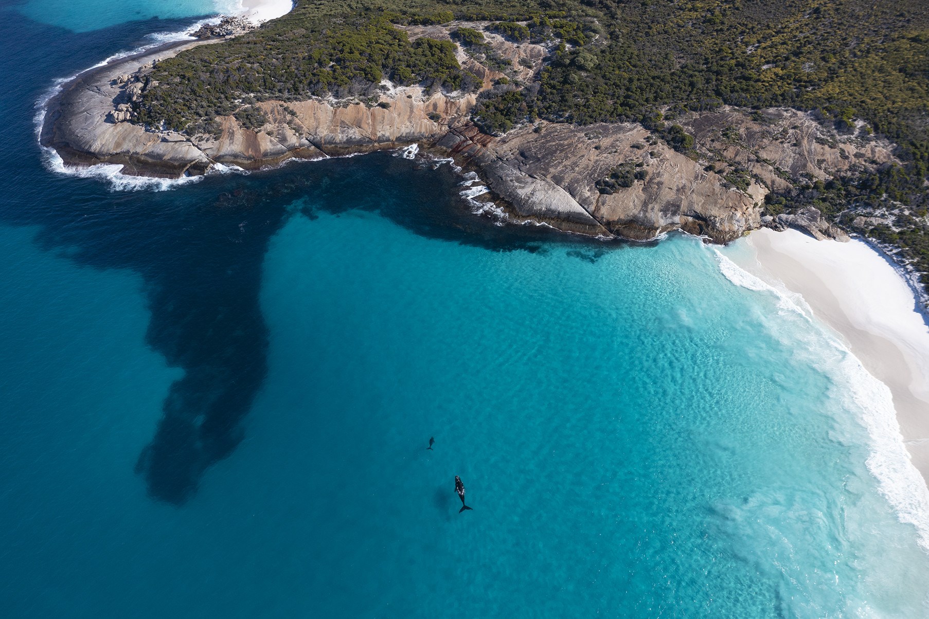 Locations Hub - Esperance - Dolphin Bay