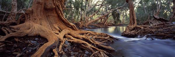 Locations Hub - Eel Pool, East of Nullagine, Pilbara
