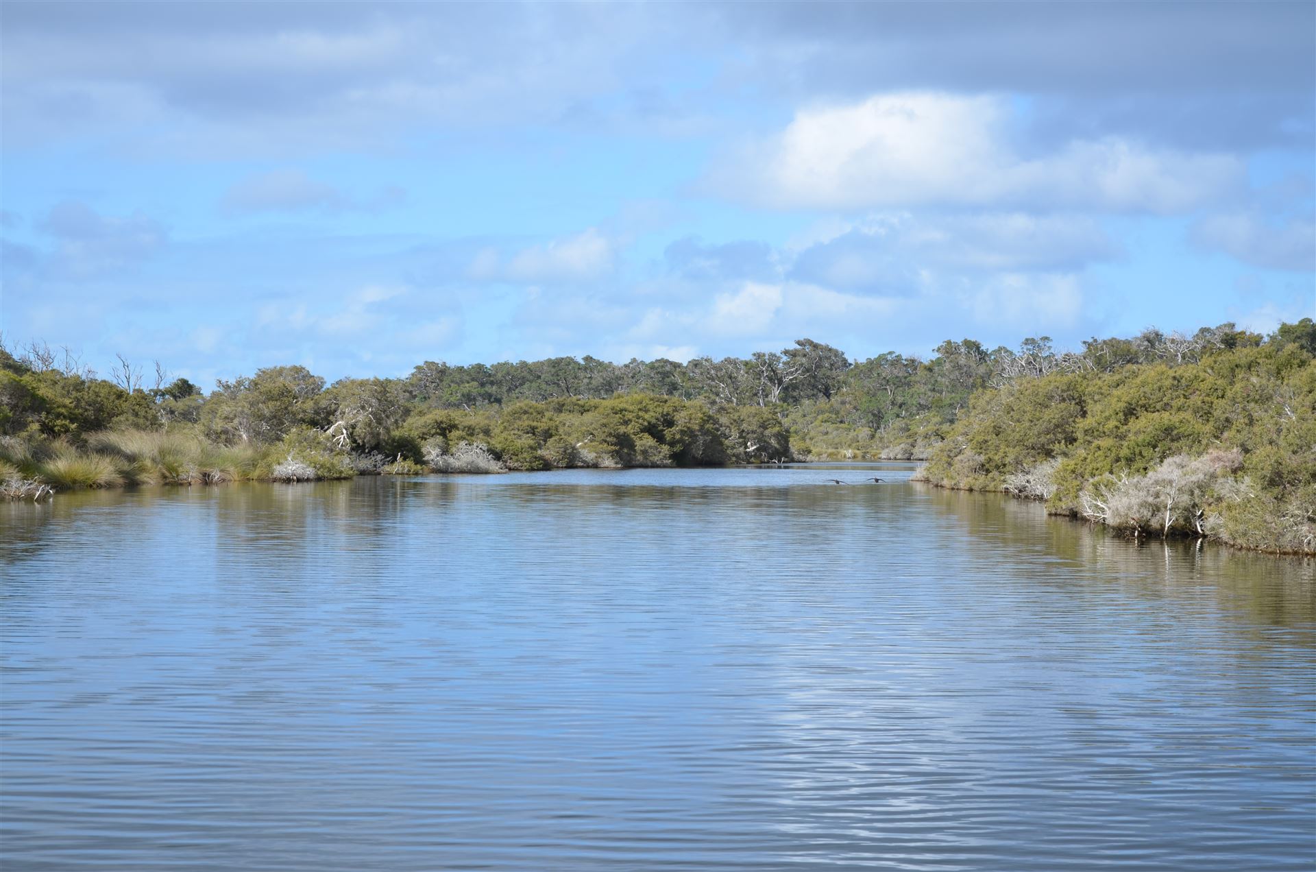 Locations Hub - Molloy Island