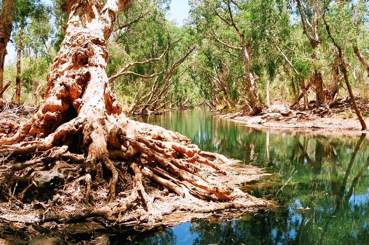 Locations Hub - Eel Pool, East of Nullagine, Pilbara
