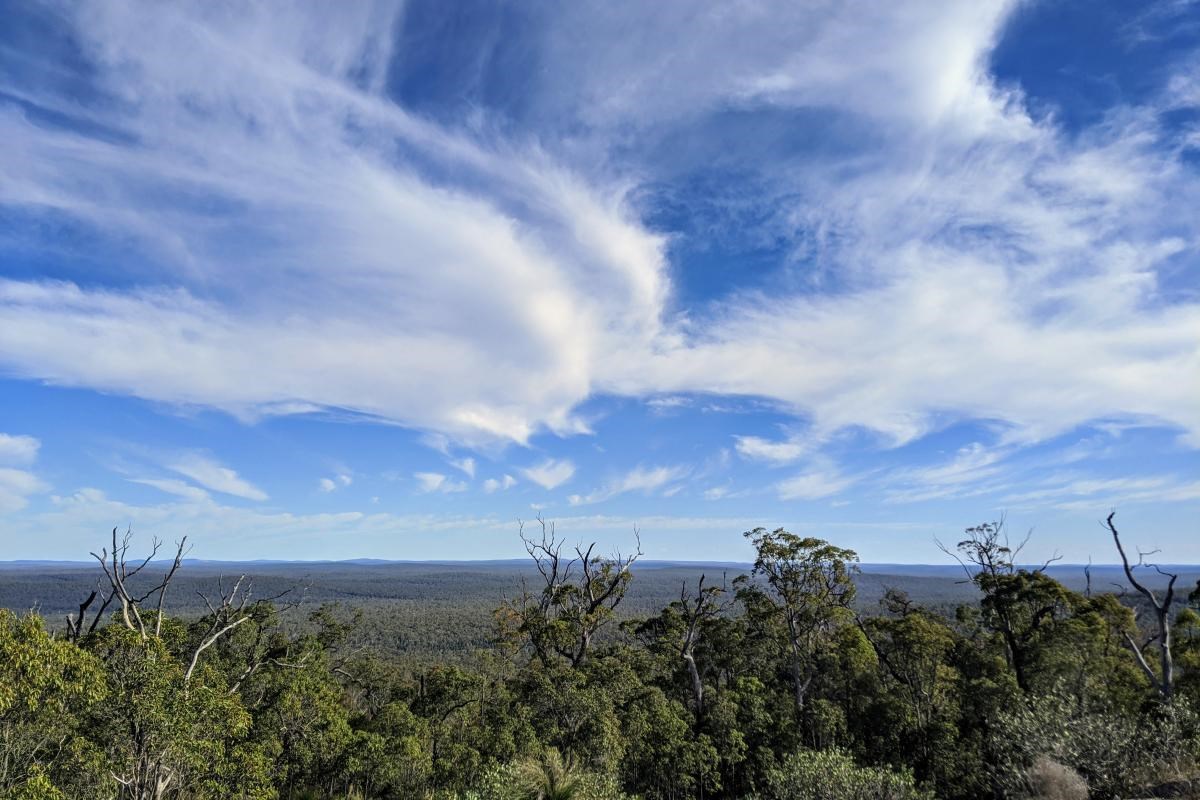 Locations Hub - Dwellingup State Forest