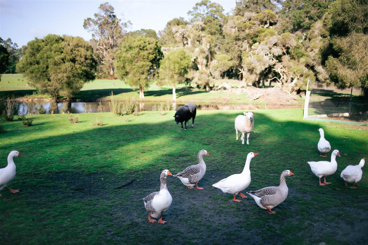 Locations Hub - Loose Goose Chalets