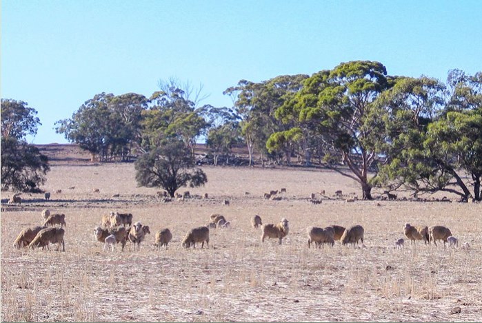 Locations Hub - Cranmore Park
