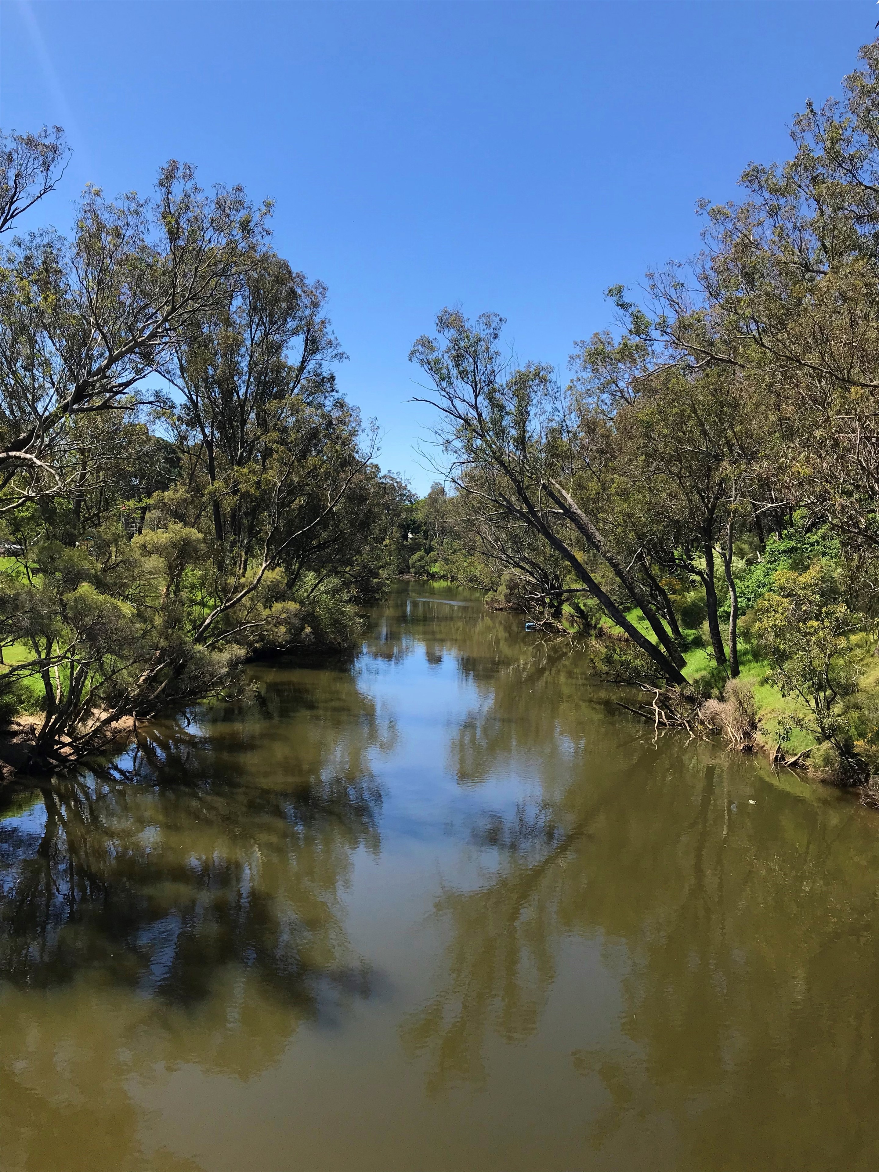 Locations Hub - Pinjarra Suspension Bridge